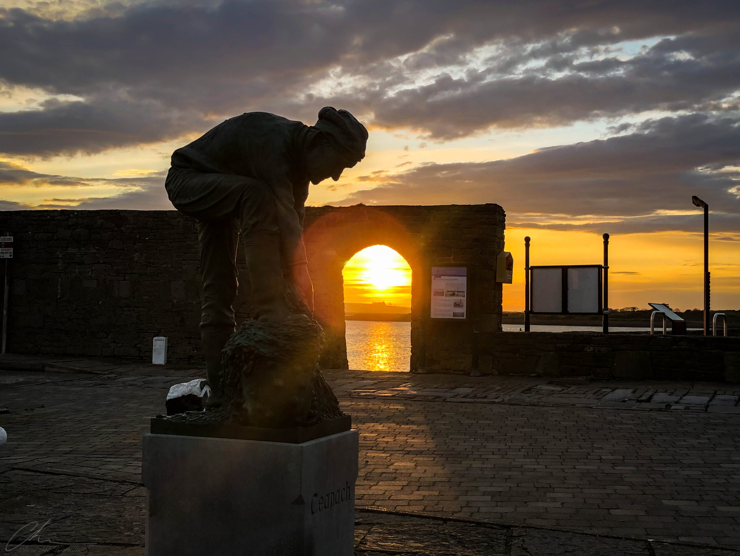 About the Area - Dolphin Discovery Kilrush