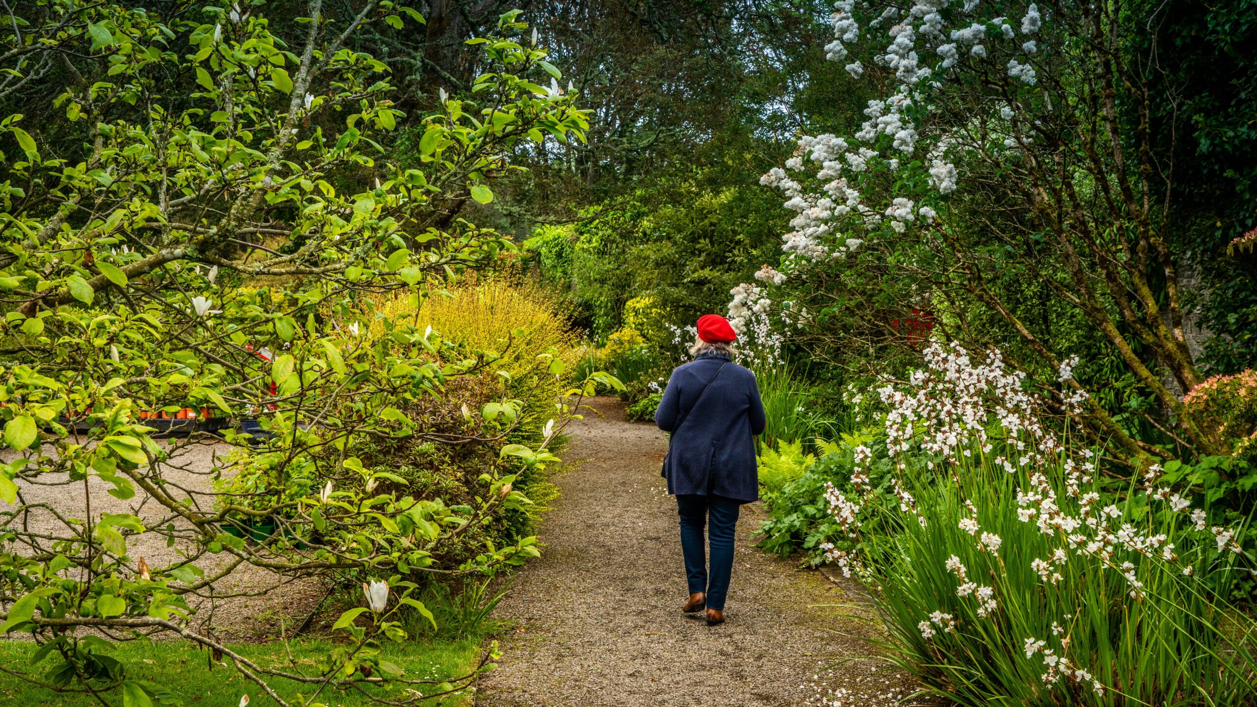 About the Area - Dolphin Discovery Kilrush